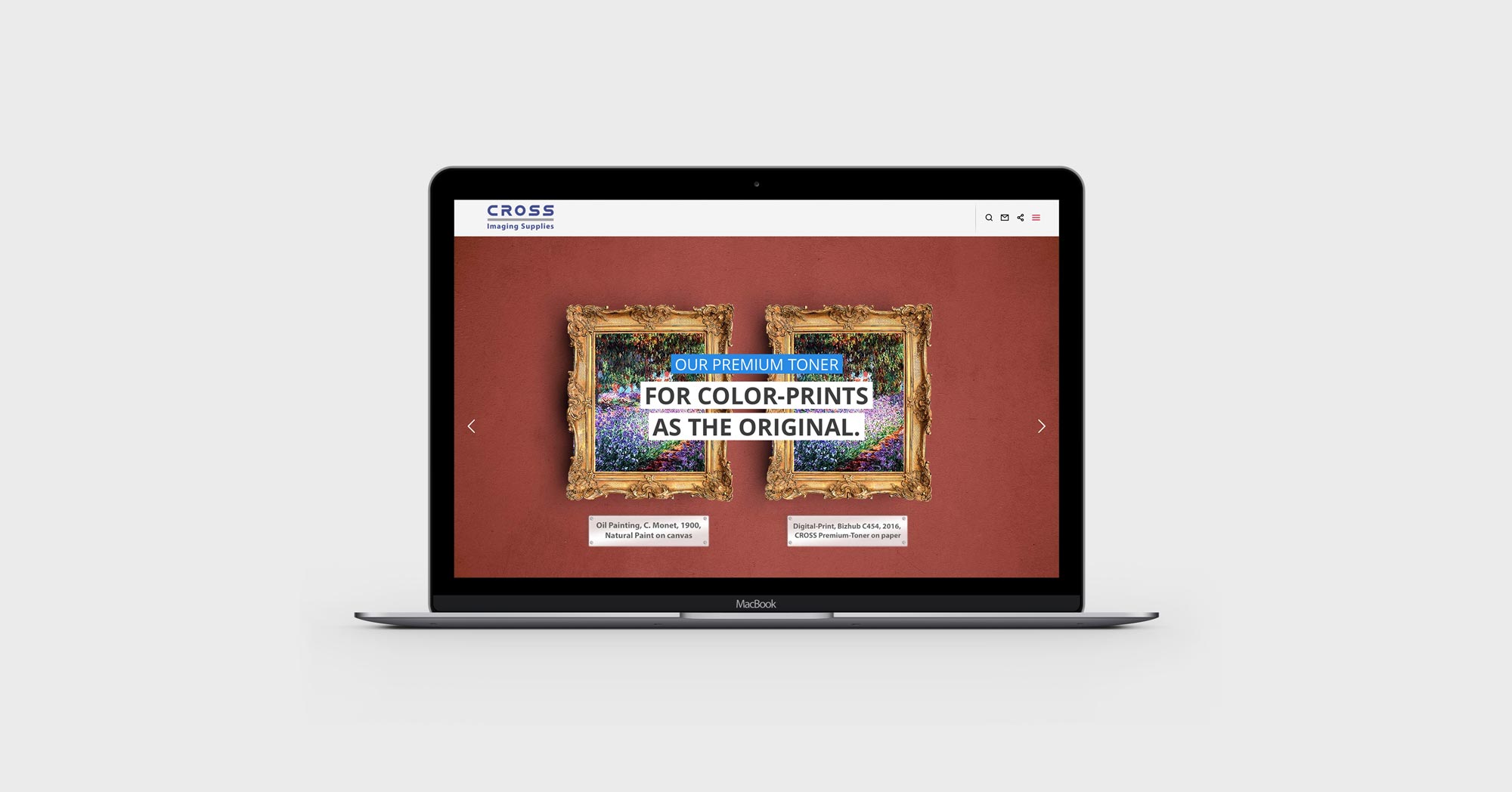 Cross Imaging - Haug und Partner